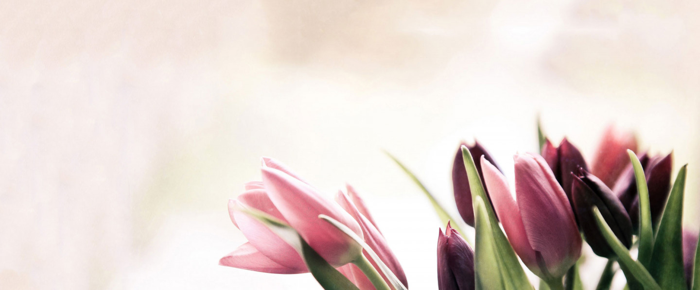 Frequently Asked Questions | Secure Your Legacy Frequently Asked Questions | Secure Your Legacy